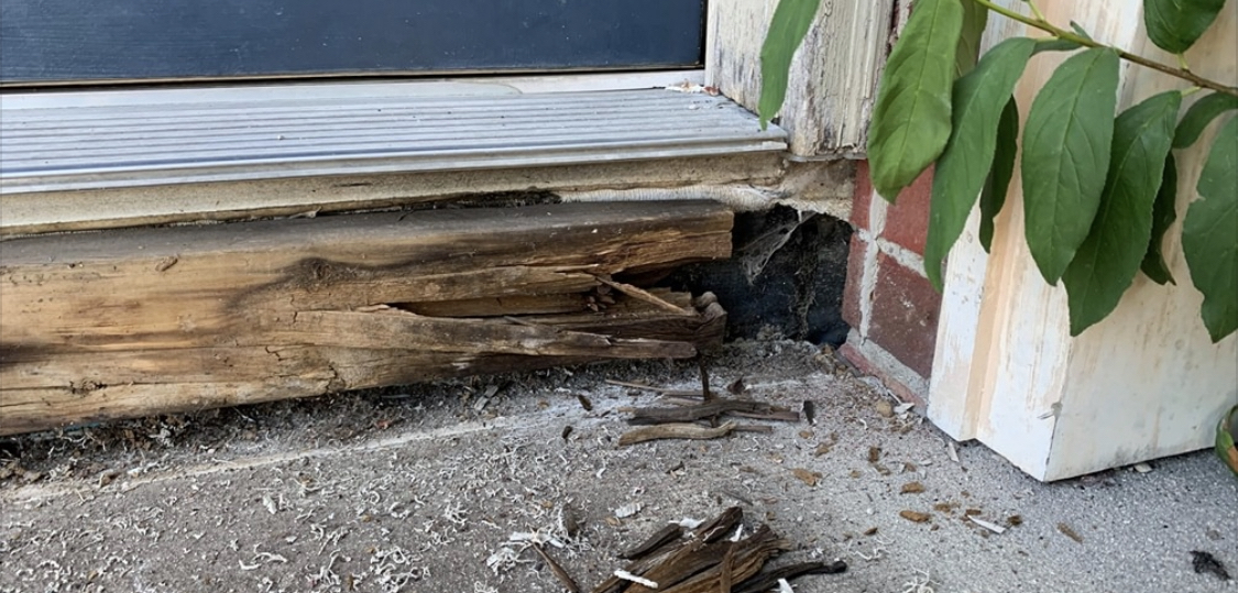 Fixing Exterior Door Wood Rot - New Leaf Home Repair and Remodeling
